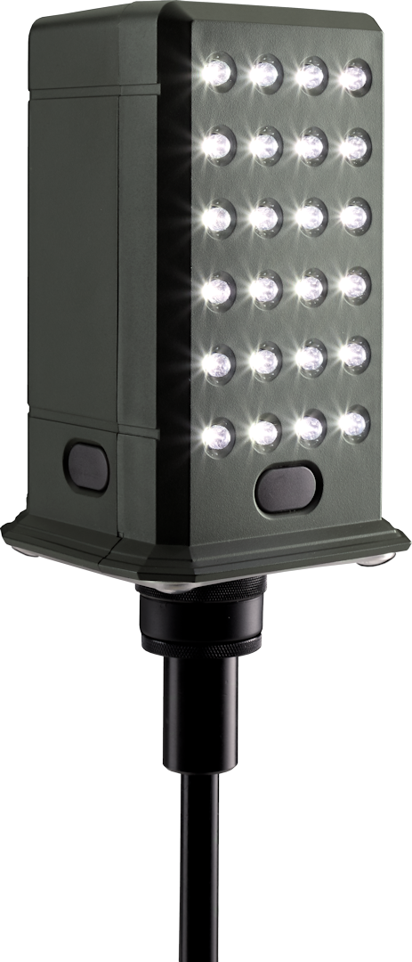 Fishguard Fishing – Swim Security